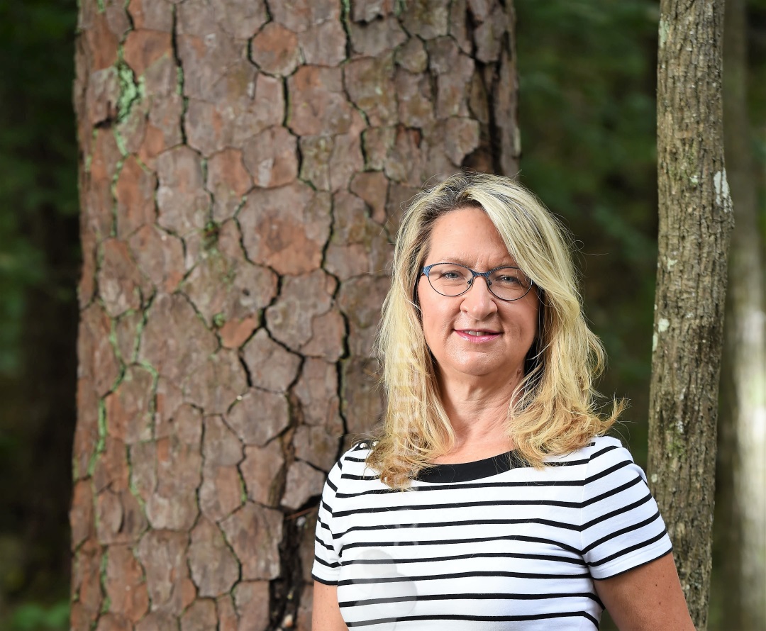 Getting to the root of pine decline - Futurum