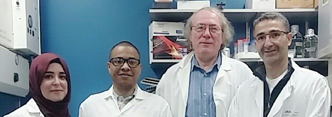 Ensuring inflammation does more good than harm - Futurum