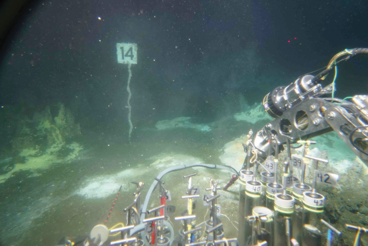 Why is it important to study life in the deep sea and even below the ...