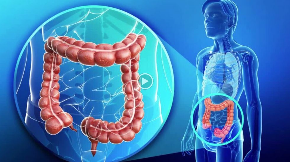 Mech-ing endoscopies safer by using robots you can swallow - Futurum