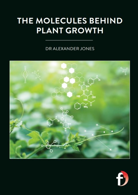 The molecules behind plant growth - Futurum