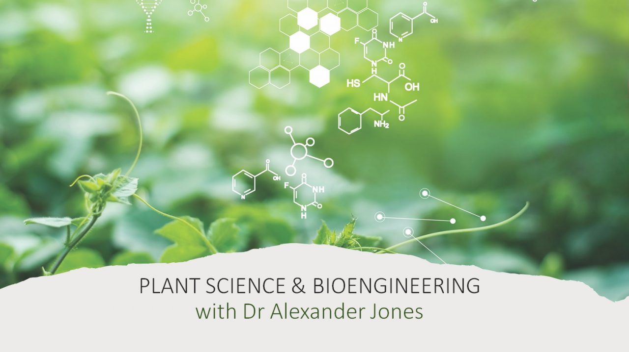 The molecules behind plant growth - Futurum