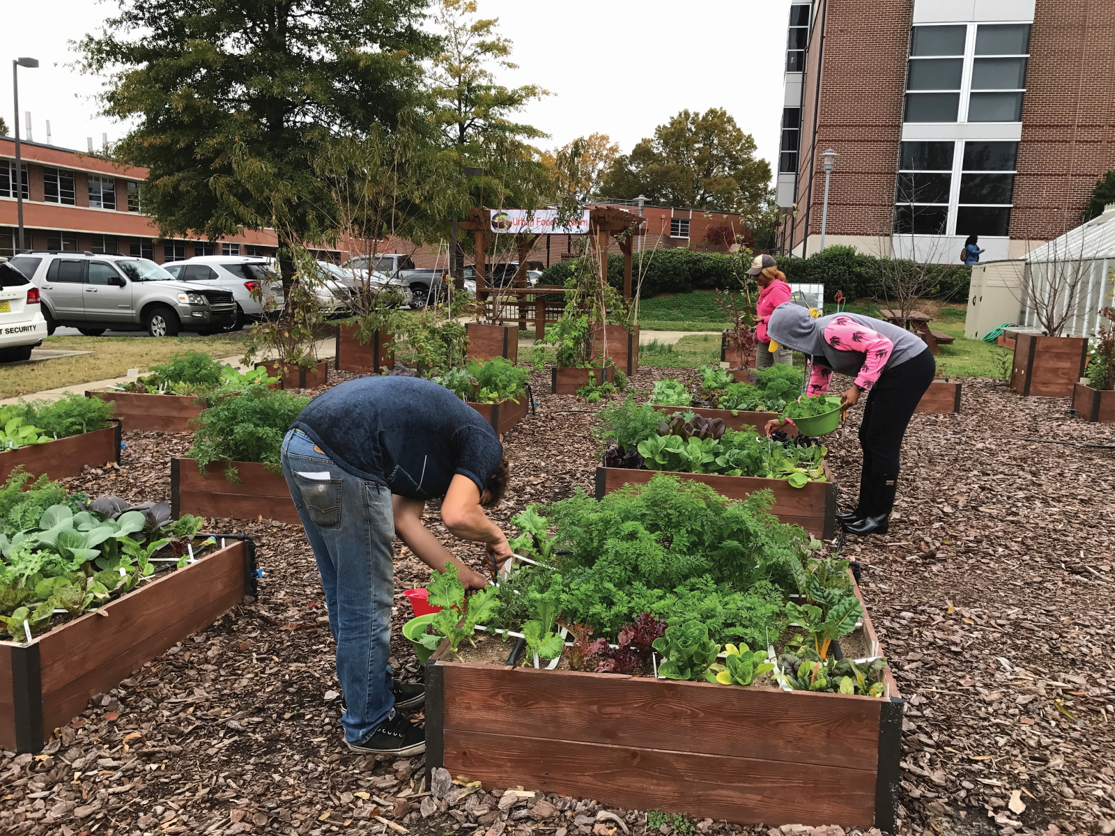 Experience, grow and learn to be a horticulturalist - Futurum