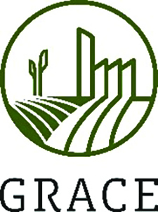 Can plants avert the climate crisis? - Futurum