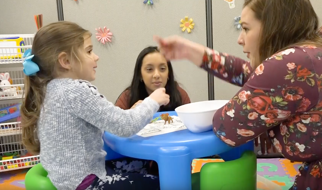 Understanding the language of science through the science of language ...