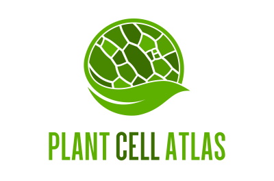 Growing a community: building the Plant Cell Atlas - Futurum