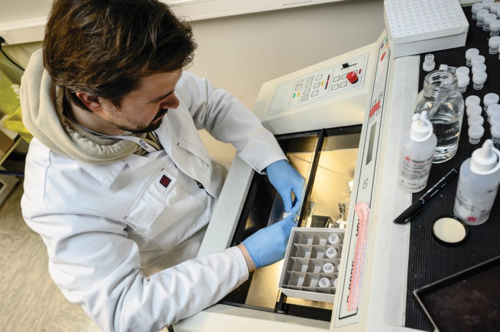 Manipulating the brain’s ‘gatekeepers’ could thwart obesity and prevent ...