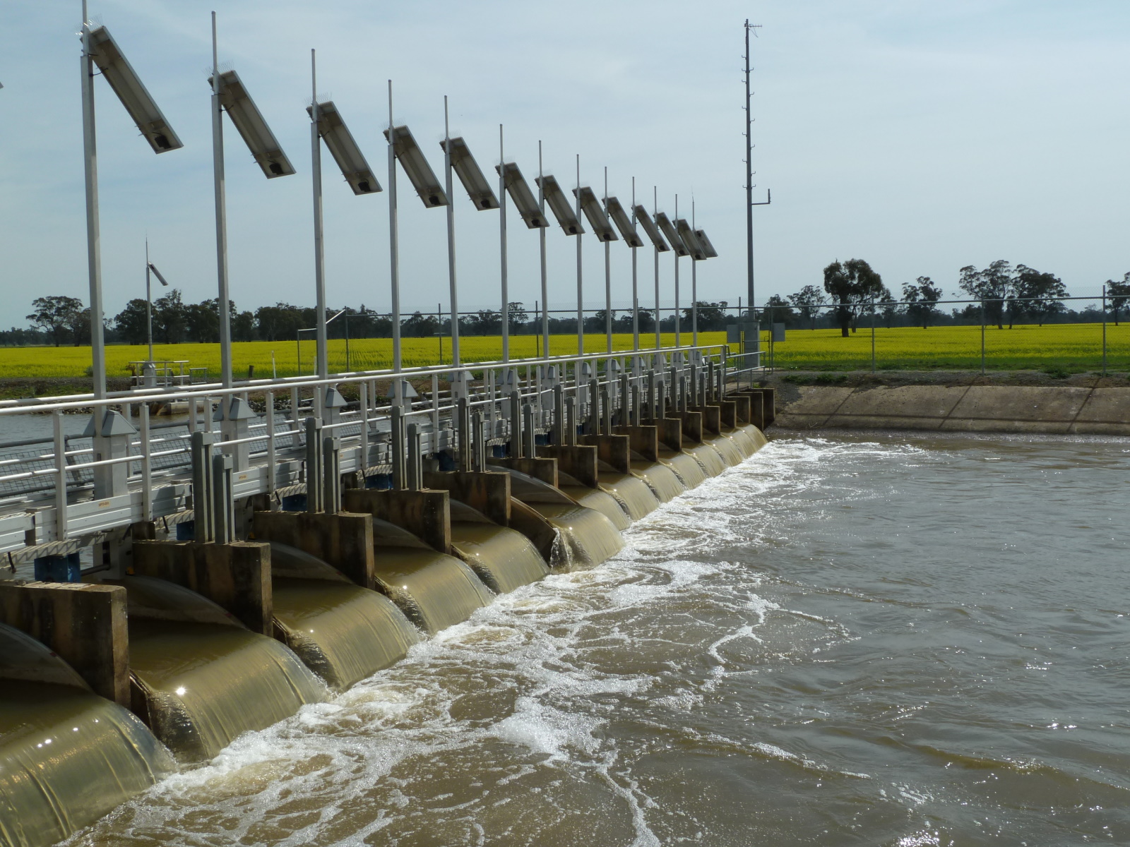 How are control engineers improving the sustainability of irrigated ...