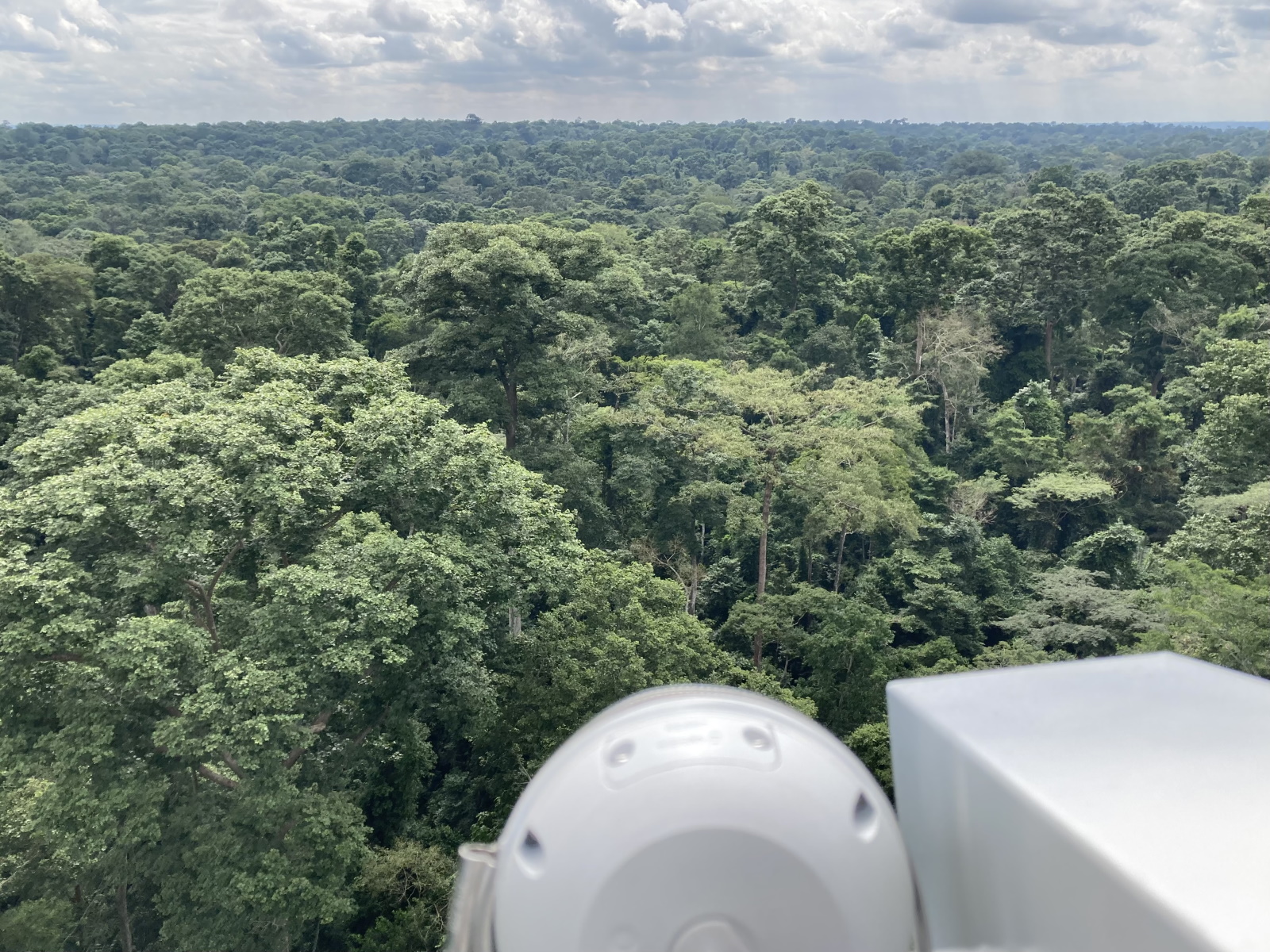 Monitoring the canopy temperature of forests - Futurum