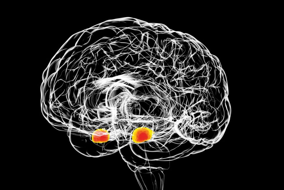 How can people train their brains to manage depression? - Futurum