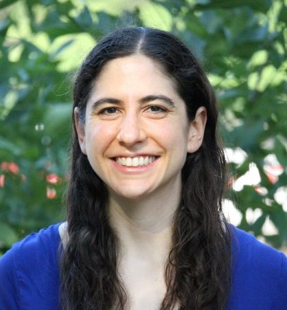 The power of geographic information systems: bringing data to life with ...