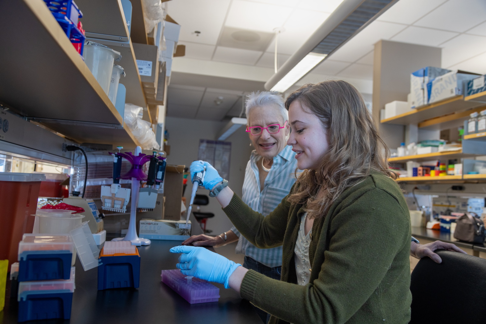 Investigating immunity: uncovering the mechanisms of the immune system ...