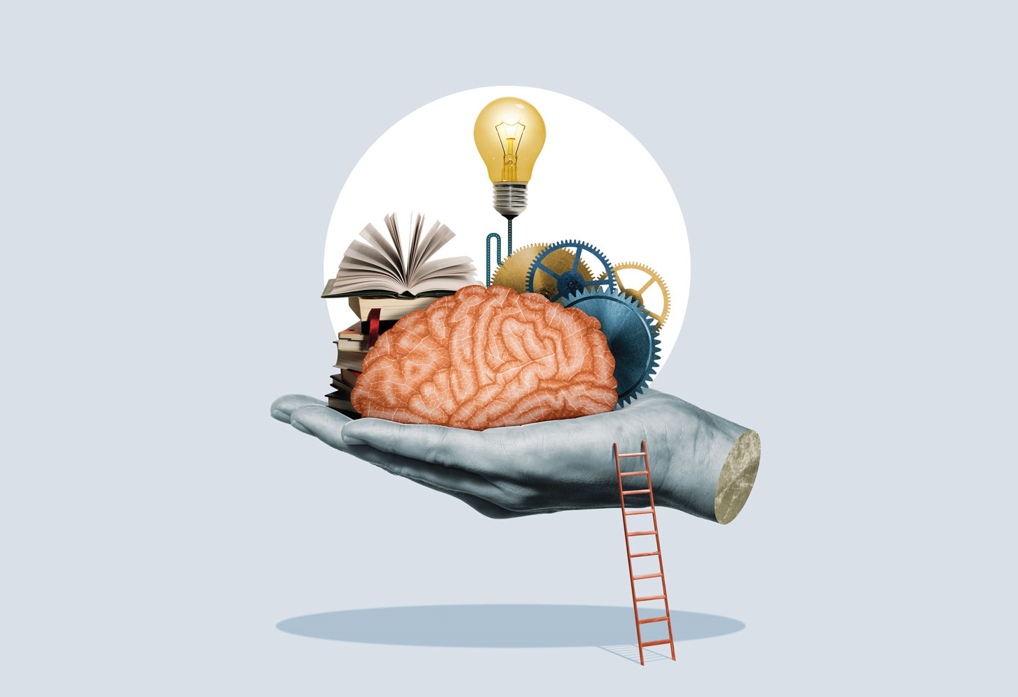 SHAPE in Schools: Changing mindsets in support of social sciences ...
