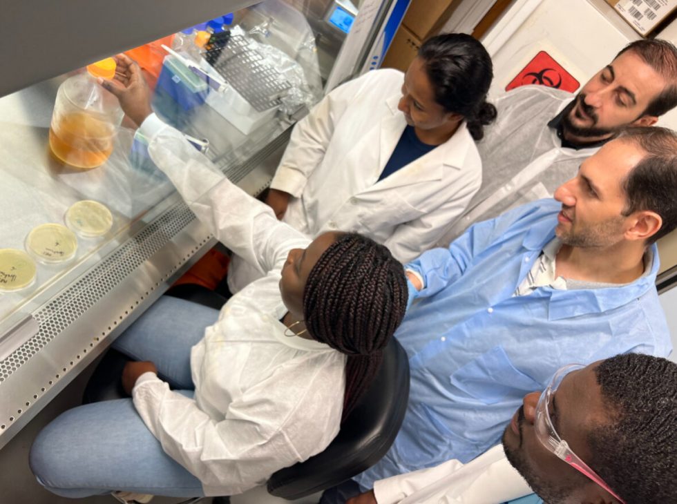 Engaging with the science behind food - Futurum