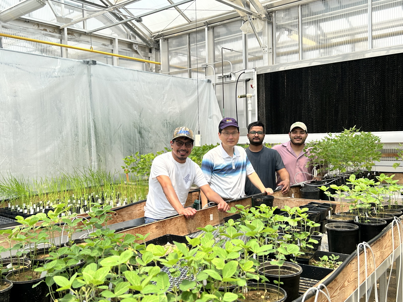 How do bacteria help and harm crops? - Futurum