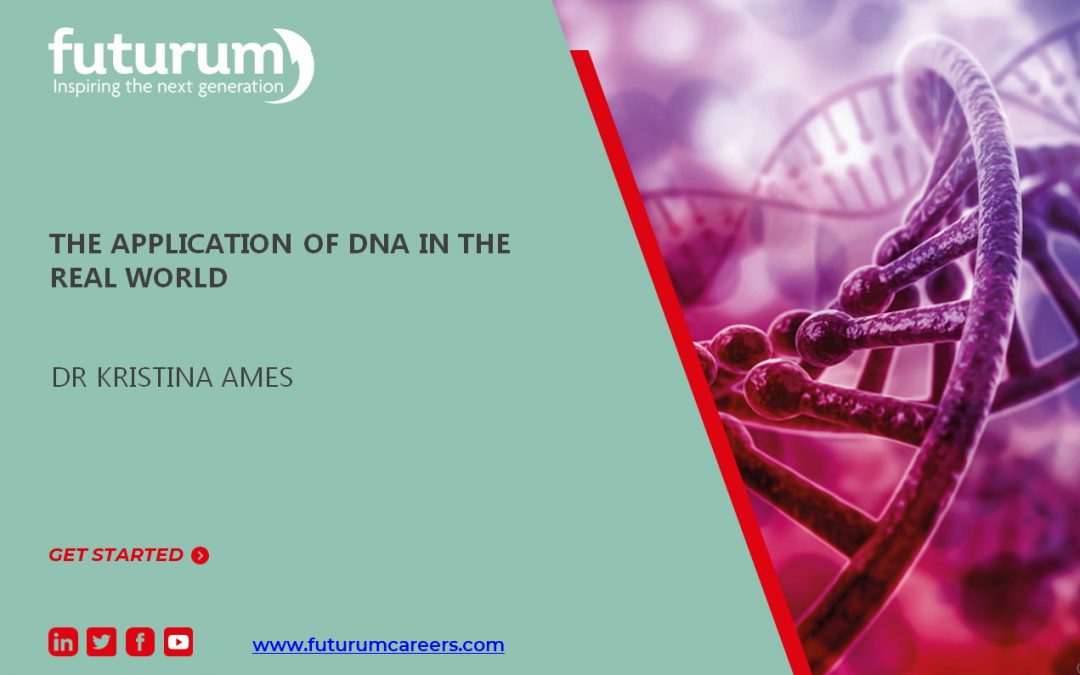 PPT Archives - Futurum