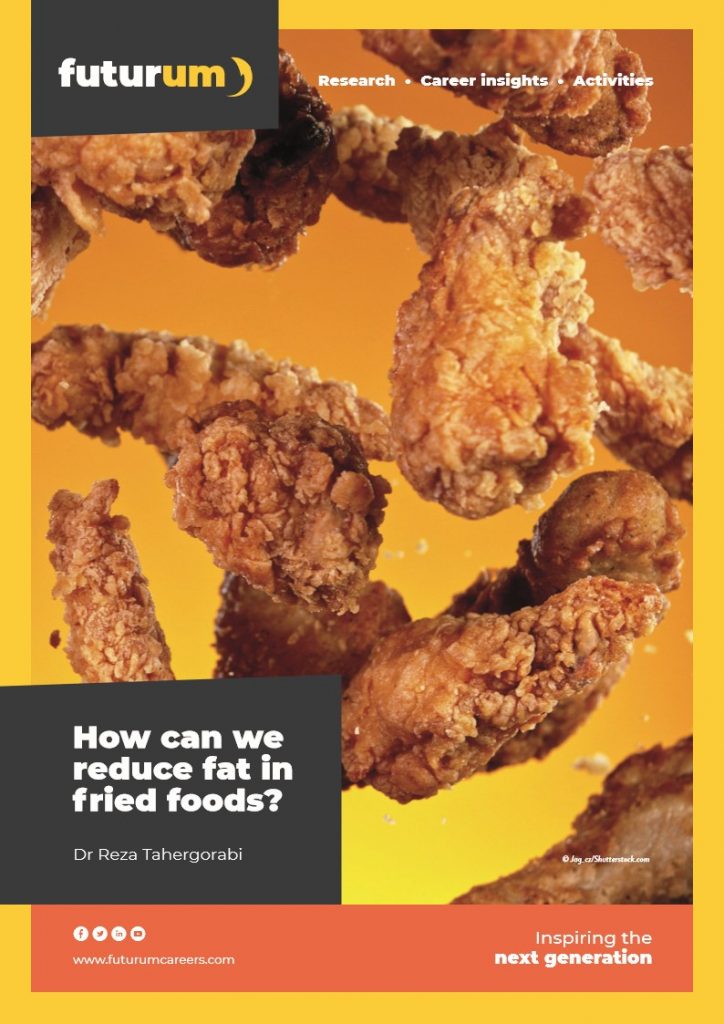 How can we reduce fat in fried foods? - Futurum