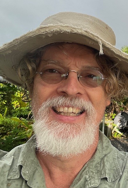 How do hurricanes impact forest ecosystems? - Futurum