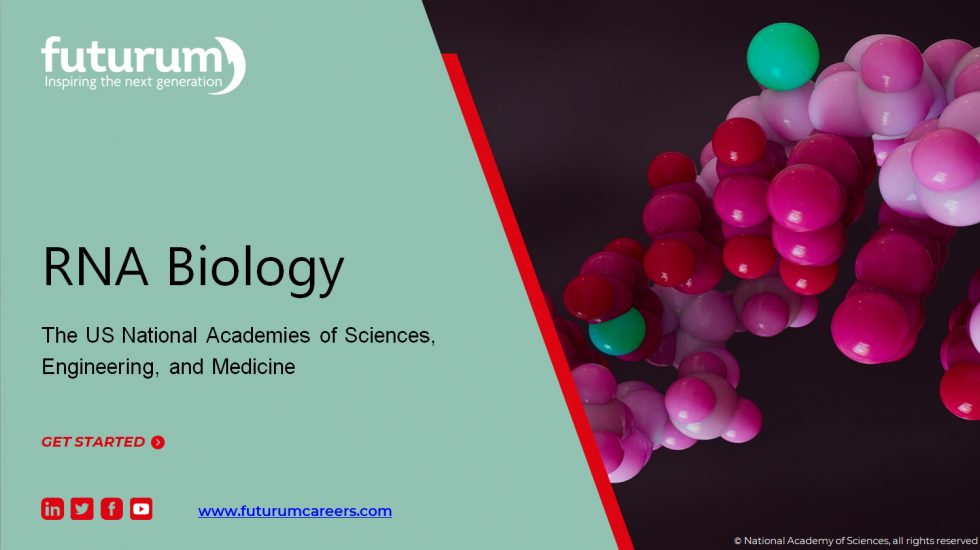 STEM & SHAPE PowerPoints For Students | Futurum