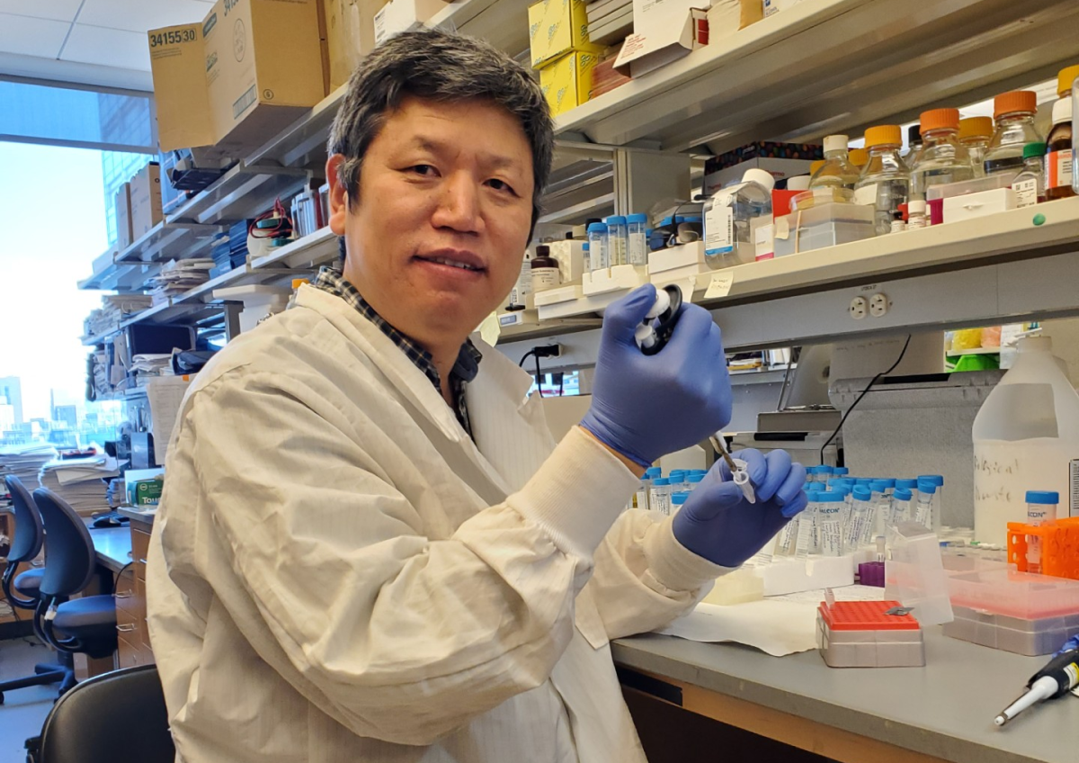 Could ingenious gene therapy prevent health issues associated with Down ...