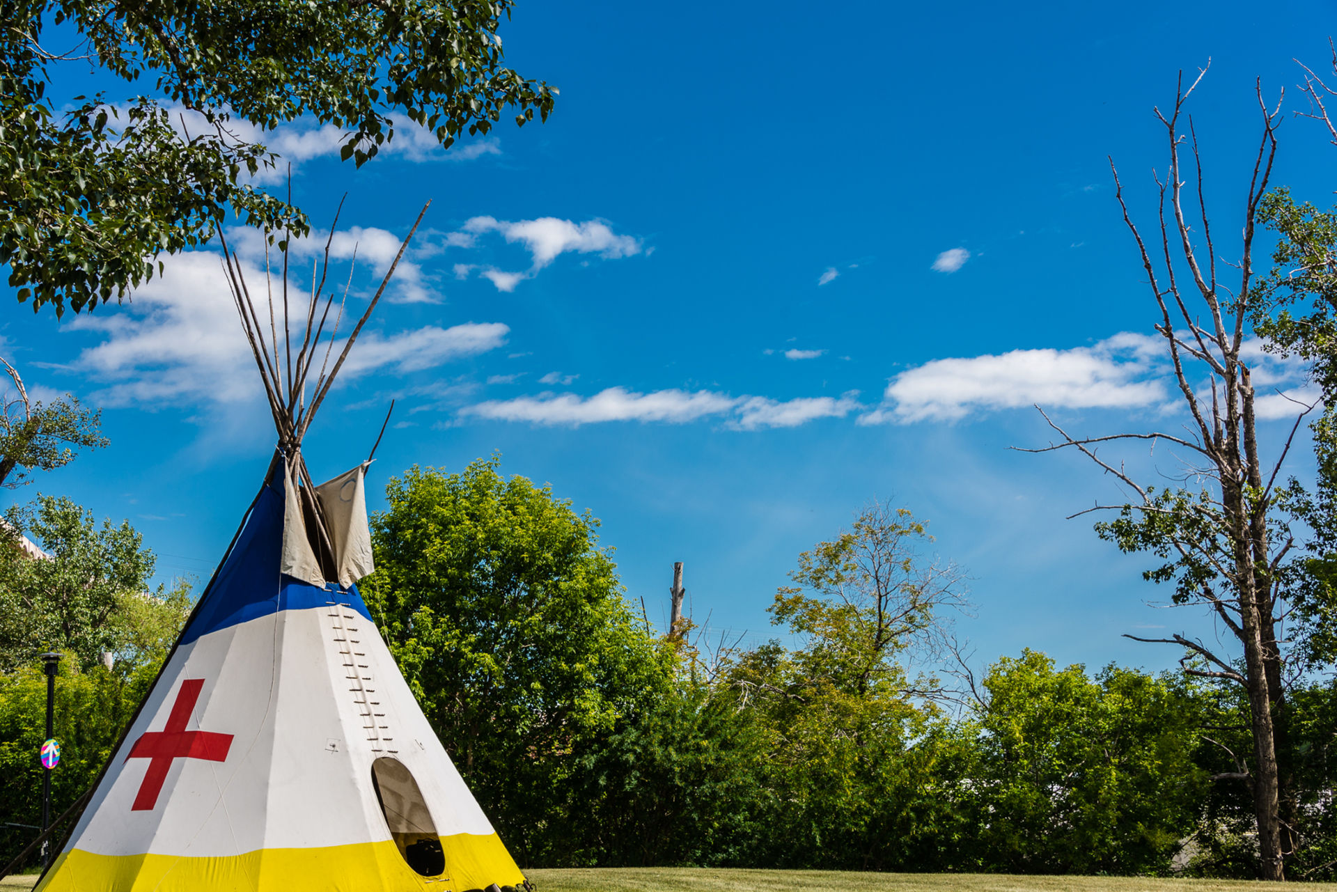 The relational determinants of health: An Indigenous journey to ...